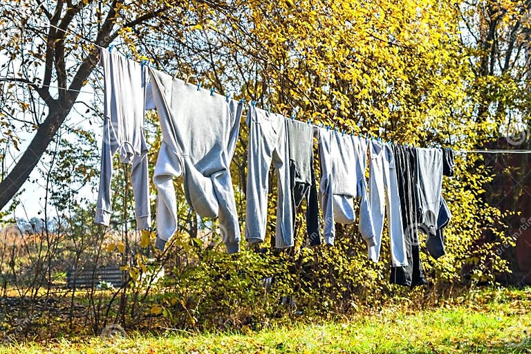 Clothes Drying on a Rope between Trees in the Autumn Stock Photo ...