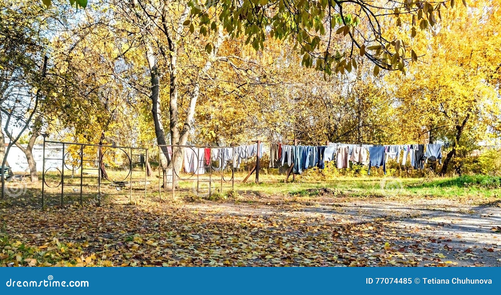 Clothes Drying on a Rope between Trees in the Autumn Stock Image ...