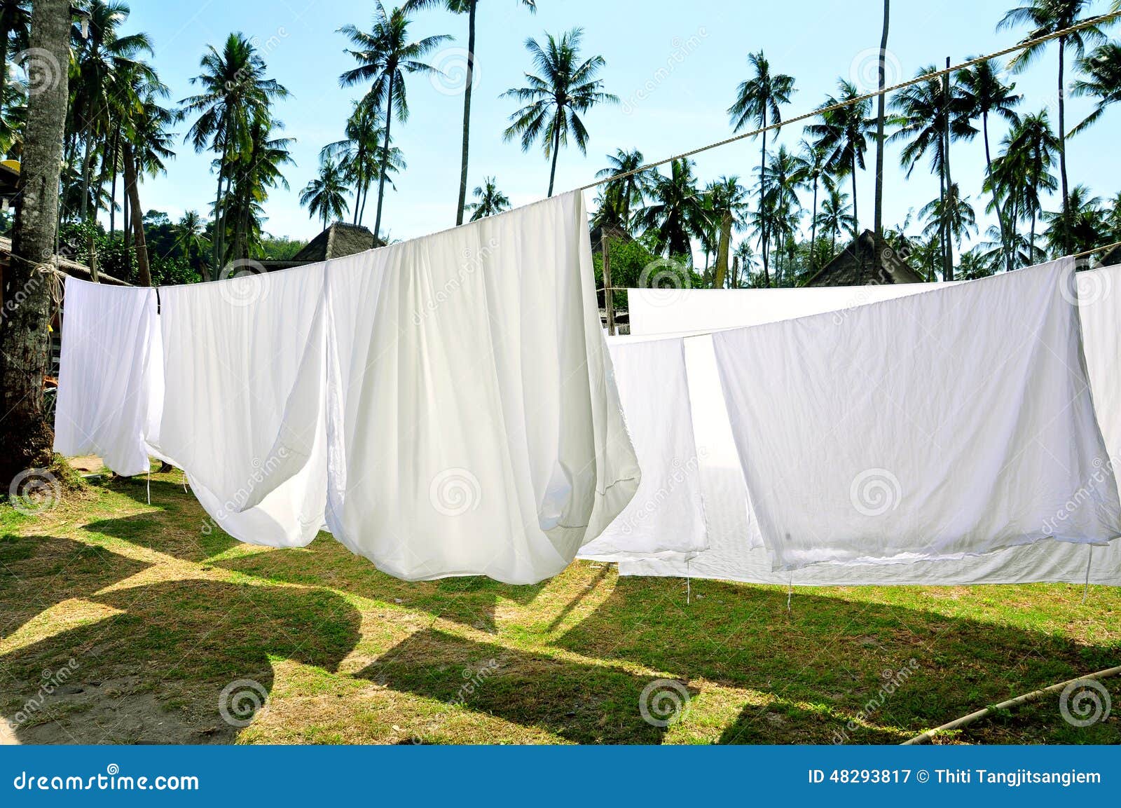 Clothes hanging out to dry stock image. Image of forest - 48293817