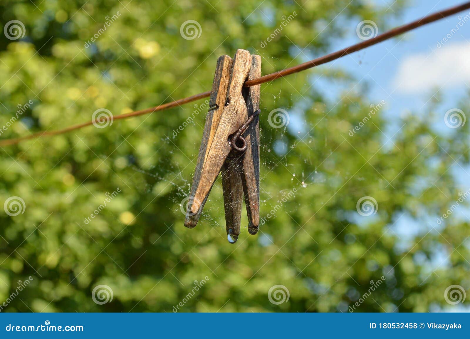 Clothes Peg on a Clothesline Stock Photo - Image of dragonfly, animal ...