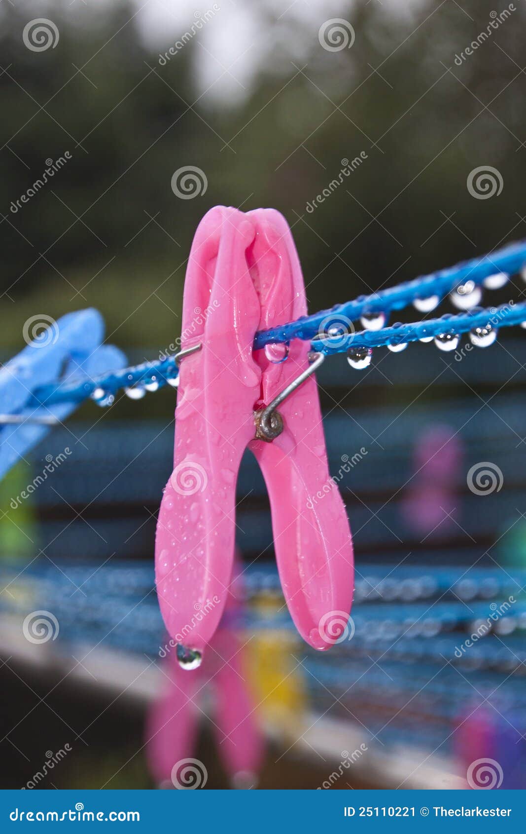 Clothes Peg on Wet Washing Line Stock Image - Image of colour, clean ...