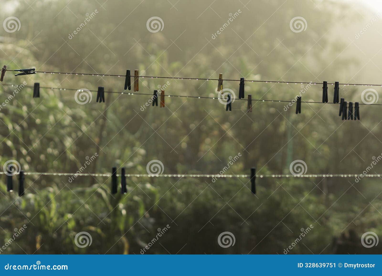 Clothes Pegs for Drying are Hanging on the Rope Stock Image - Image of ...
