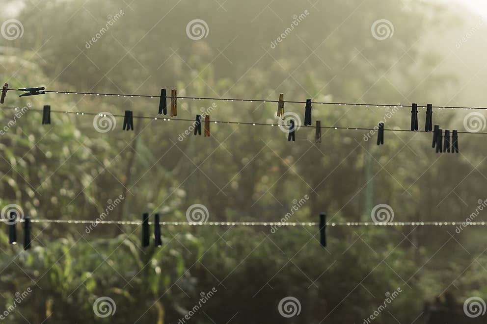 Clothes Pegs for Drying are Hanging on the Rope Stock Image - Image of ...