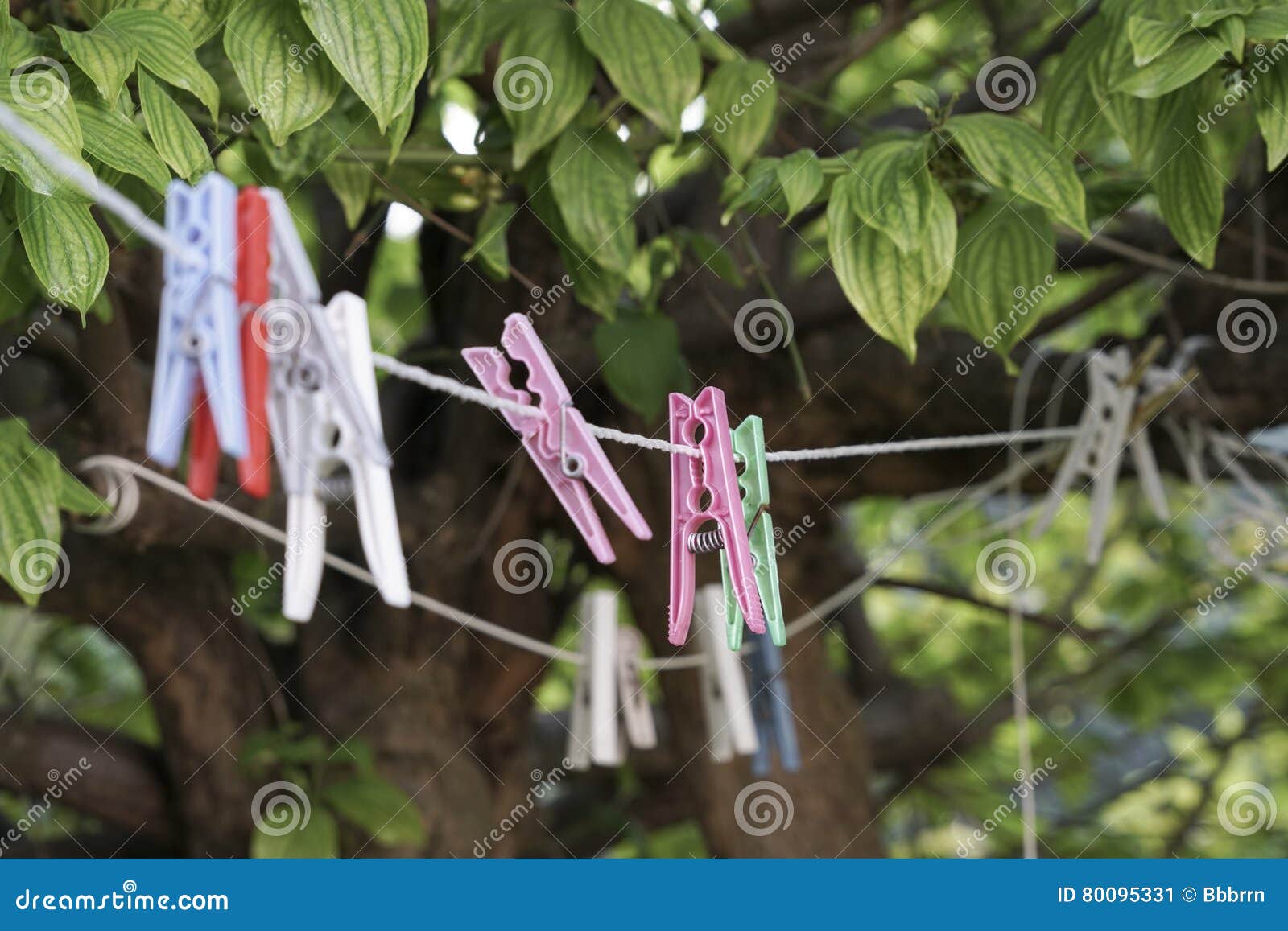 Clothes Pegs Hanged on Rope at Garden Stock Image - Image of clamp ...