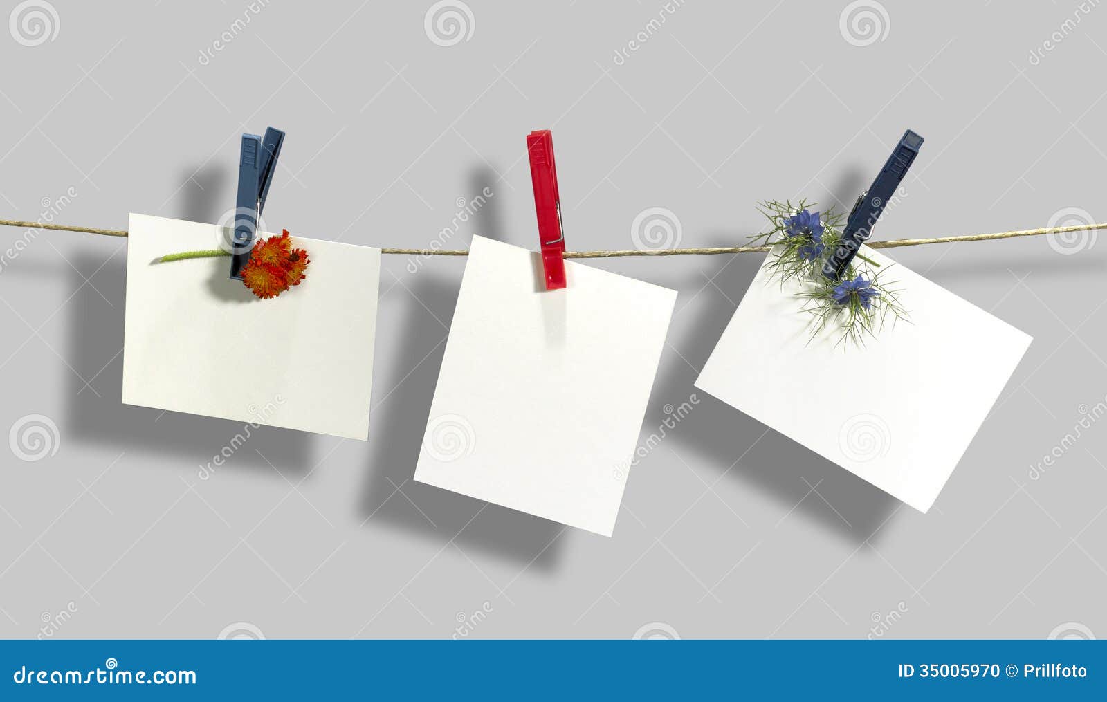 Clothesline and labels stock photo. Image of gray, white - 35005970