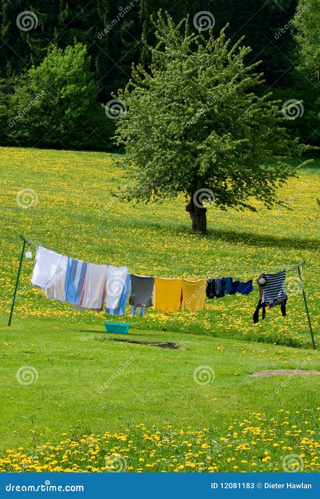 Clothesline in a Spring Field Stock Image - Image of green, home: 12081183