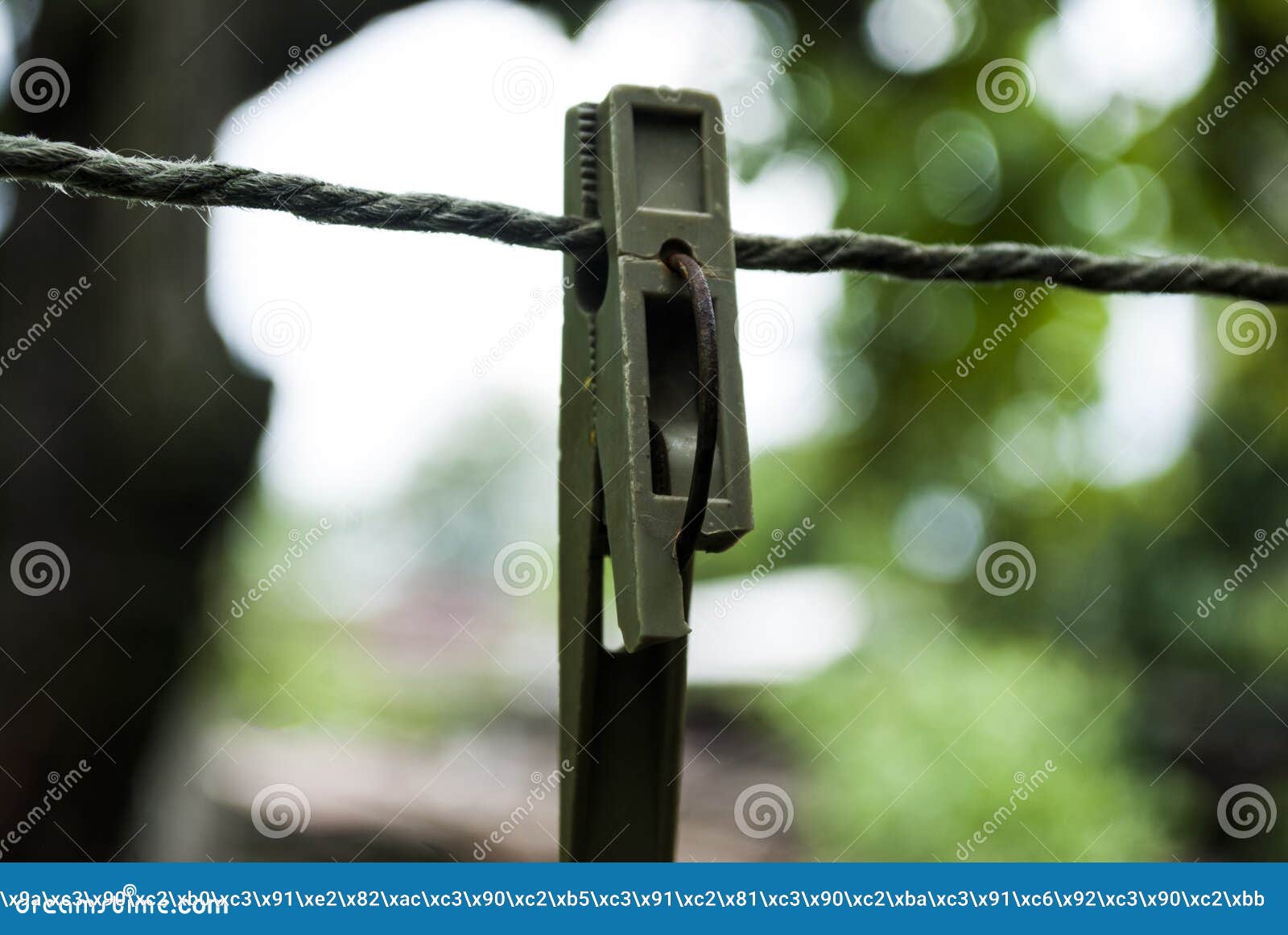 Clothespin on the rope stock photo. Image of closed - 224681282