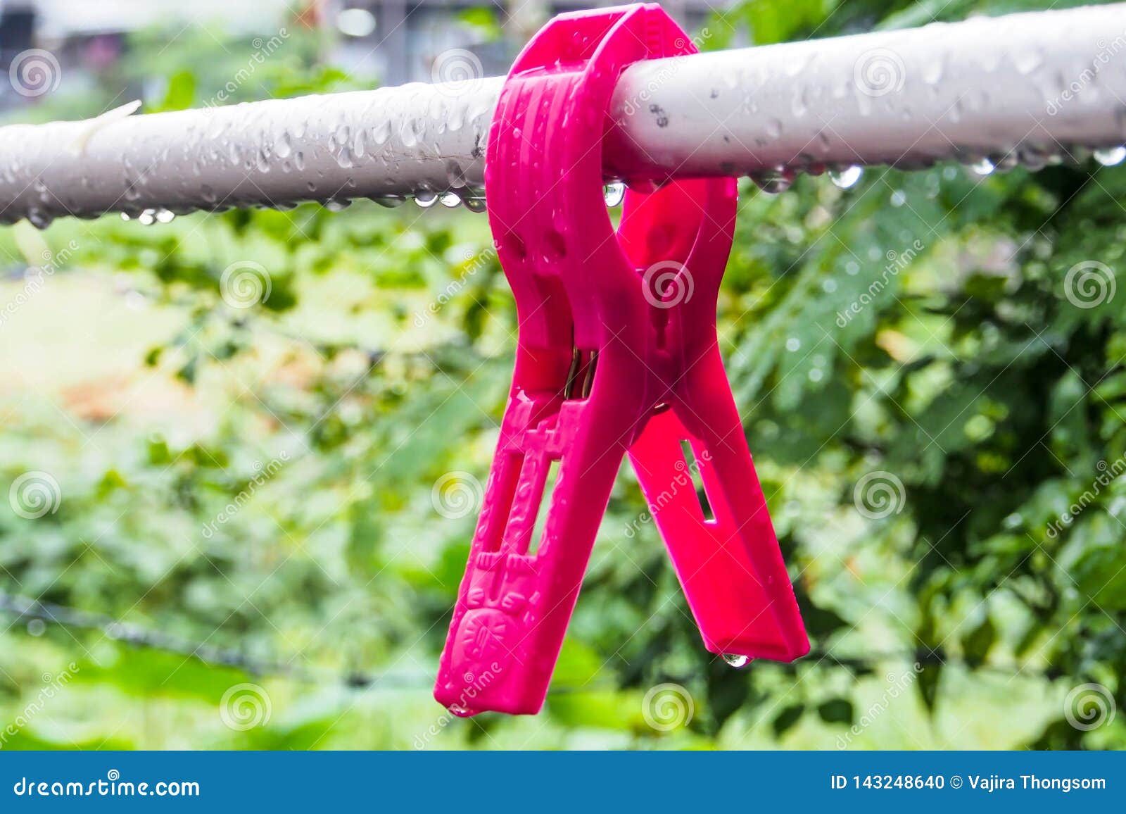 The Clothespin on Stainless Wire Stock Photo - Image of background ...