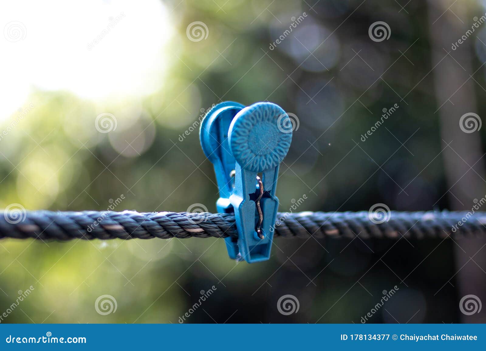 Clothespins on wire rope. stock image. Image of macro - 178134377