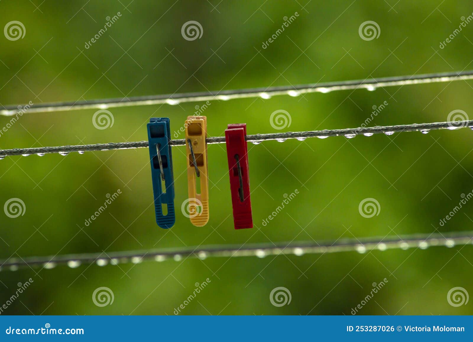 Clothing Lines of a Clothes Spin with Many Raindrops at the String in ...