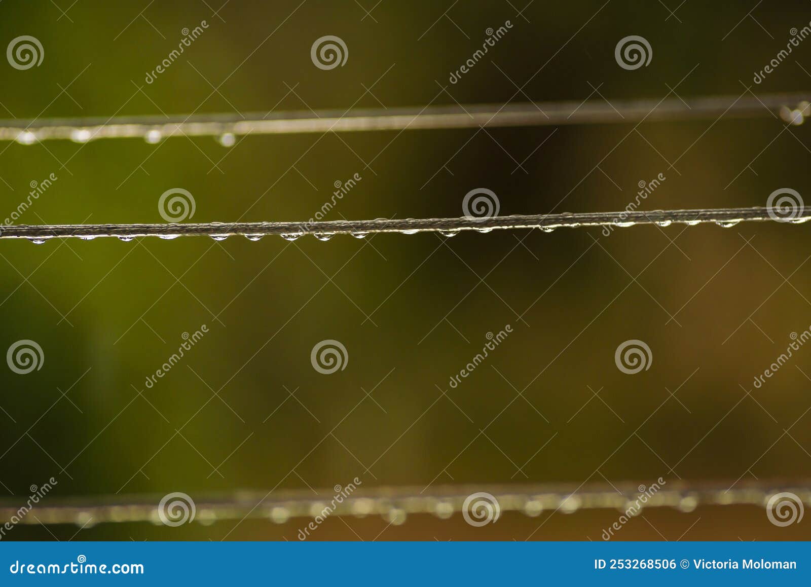 Clothing Lines of a Clothes Spin with Many Raindrops at the String in ...