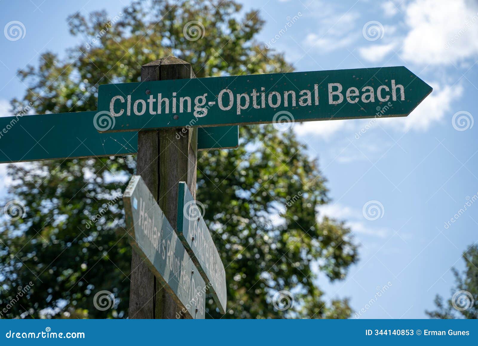 Clothing Optional Beach Sign in Toronto Islands Stock Image - Image of ...