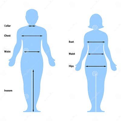 Clothing Size Chart stock vector. Illustration of drawing - 24972816