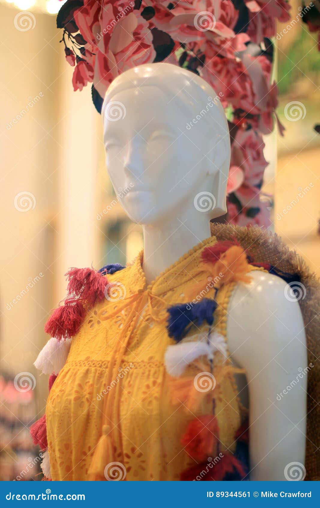 Clothing Store Display stock image. Image of cloth, glass - 89344561