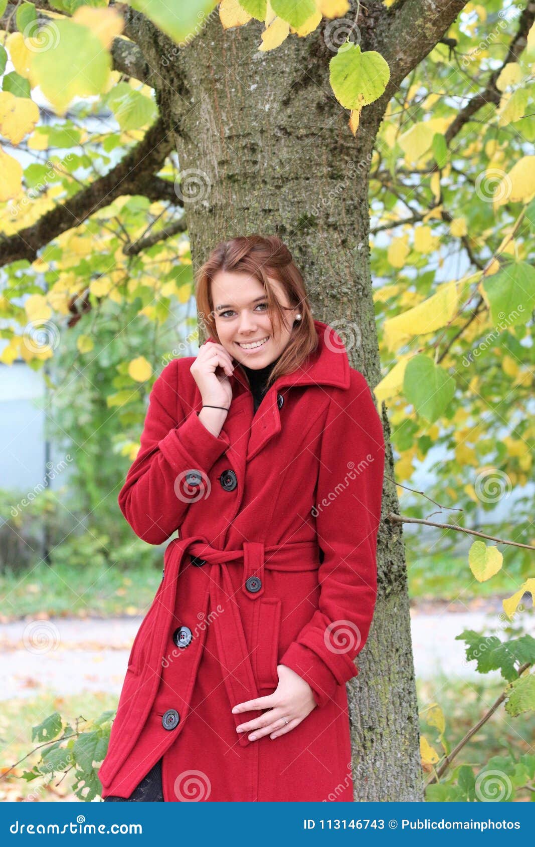 Clothing, Tree, Woody Plant, Outerwear Picture. Image: 113146743
