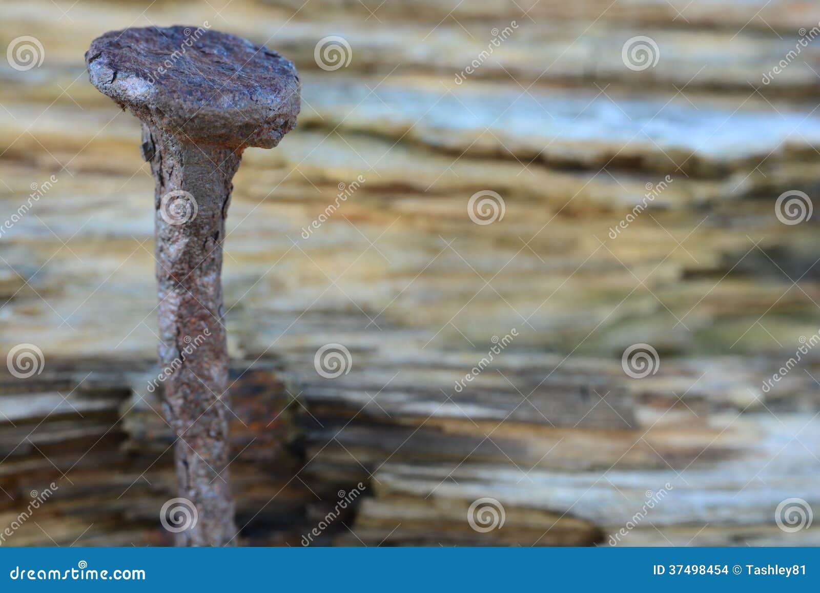 Clou rouillé photo stock. Image du industriel, métallique - 37498454