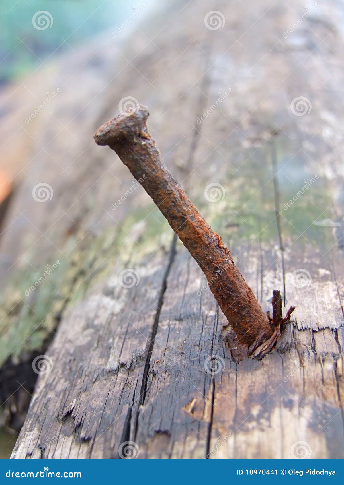 Clou rouillé en bois image stock. Image du abstrait, grunge - 10970441