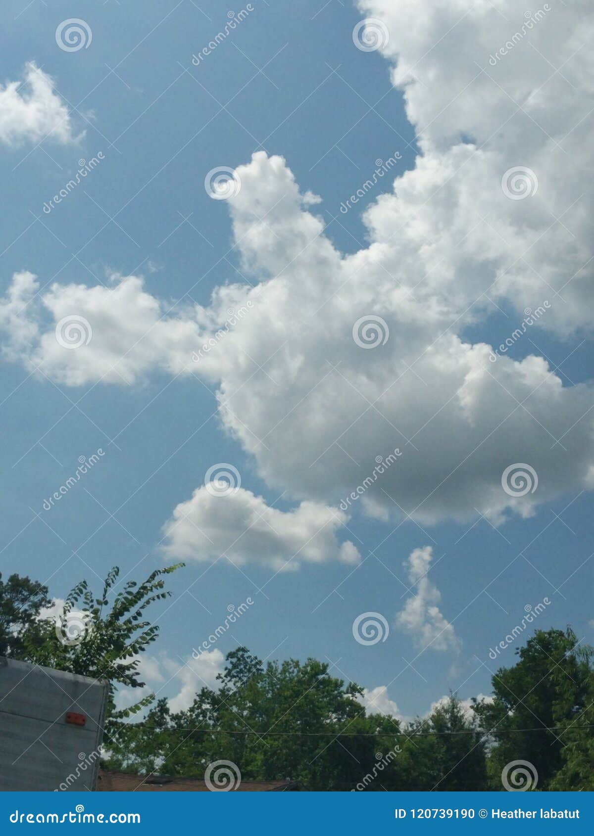 Cloud as a duck stock photo. Image of look, cloud, duck - 120739190