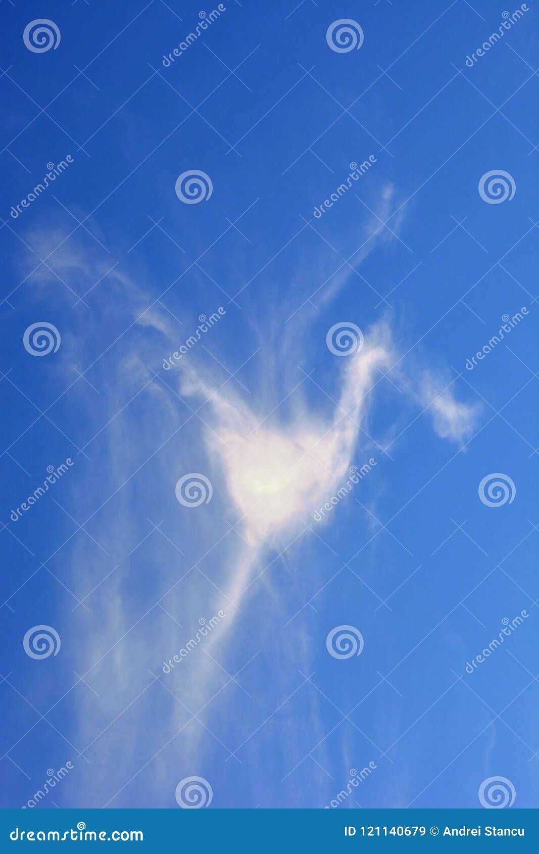 Cloud Bird in the Sky stock image. Image of backgrounds - 121140679