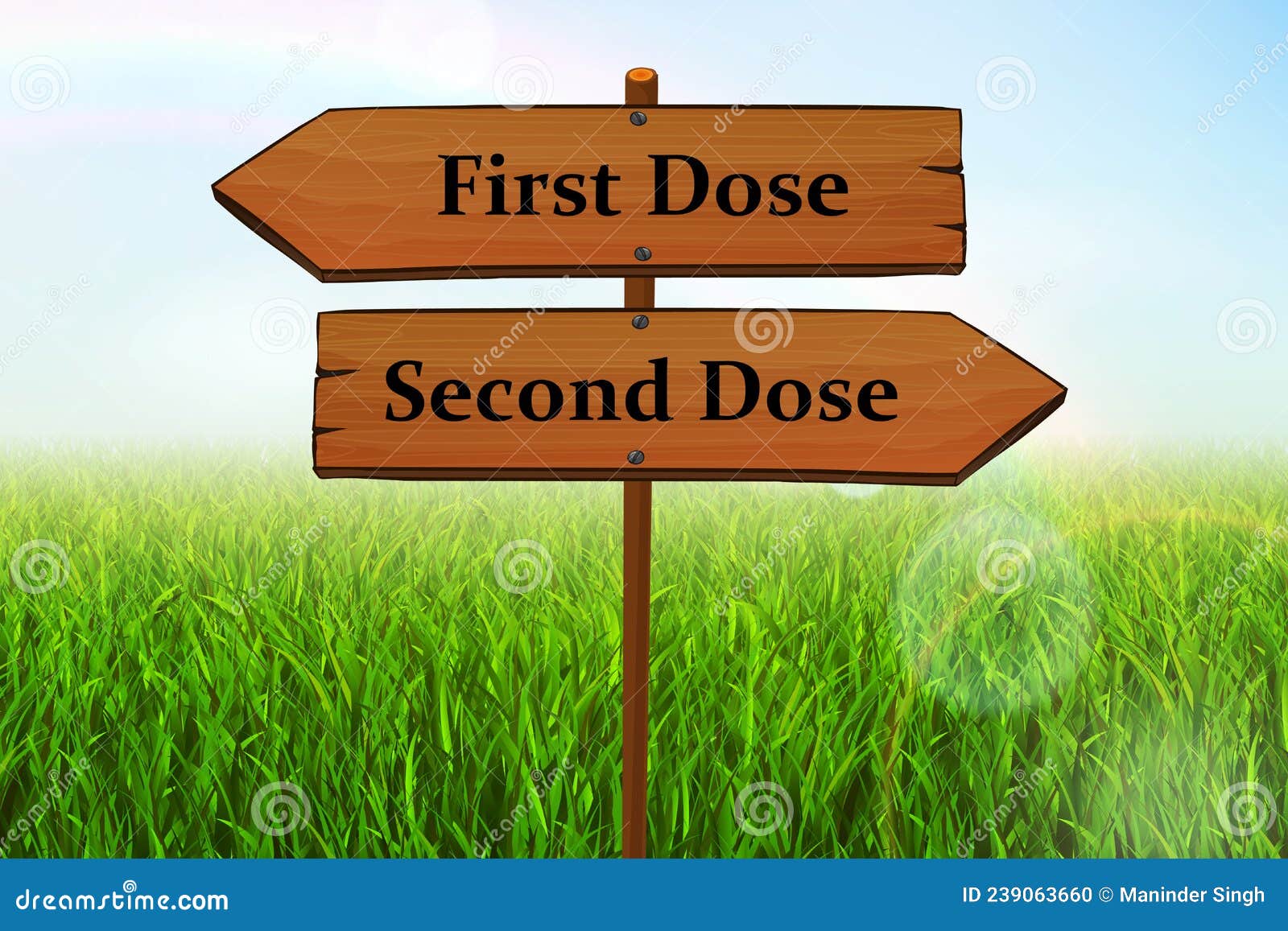 First Dose Vs Second Dose of Vaccine. Stock Photo - Image of dose ...