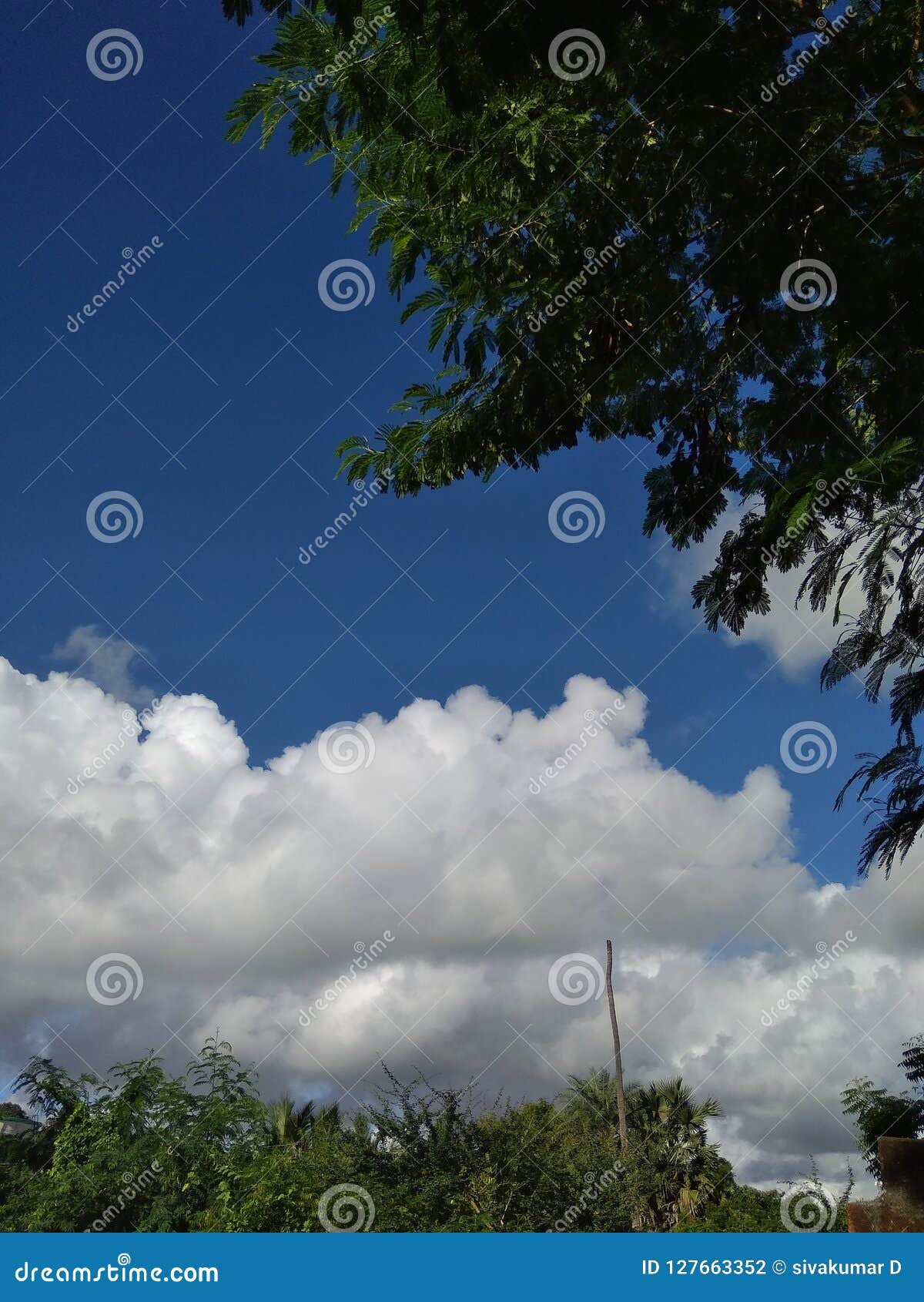 CLOUD BLUE SKY stock photo. Image of blue, india, natural - 127663352