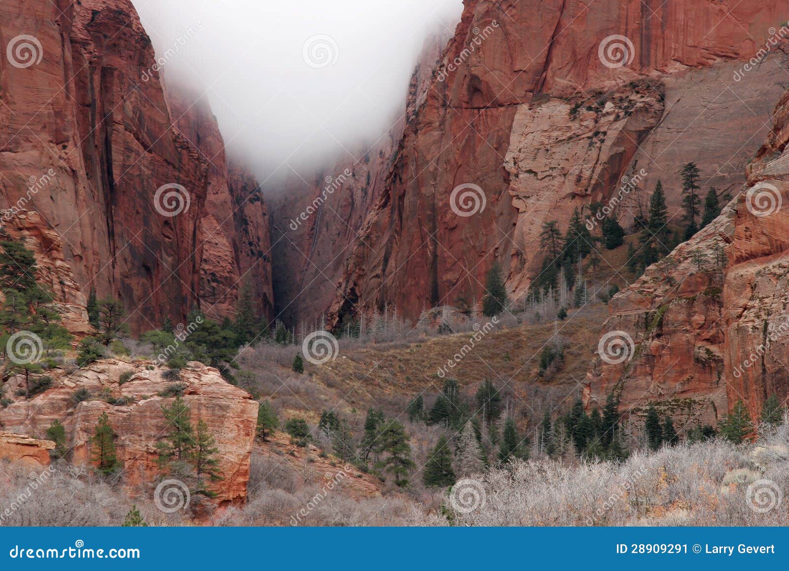 Cloud in a Canyon Zion National Park Stock Image - Image of cloud ...
