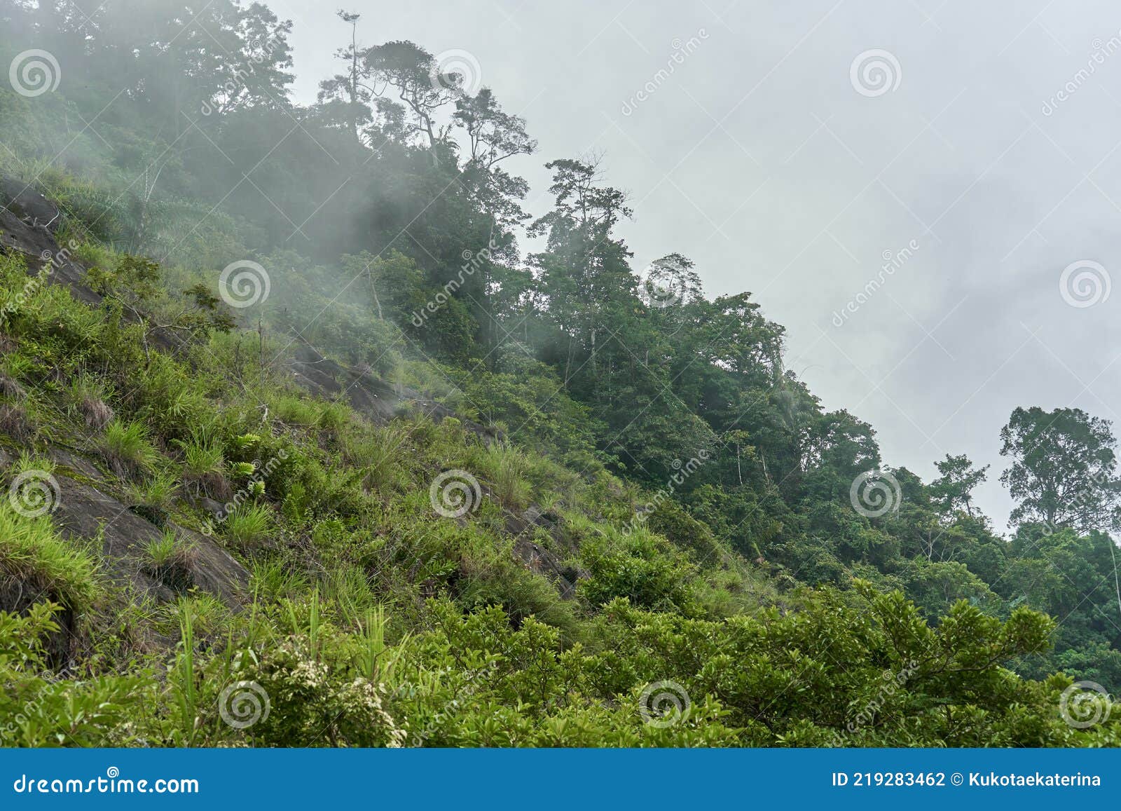 A Cloud Caught on a Mountain in the Jungle. Natural Landscape Stock ...