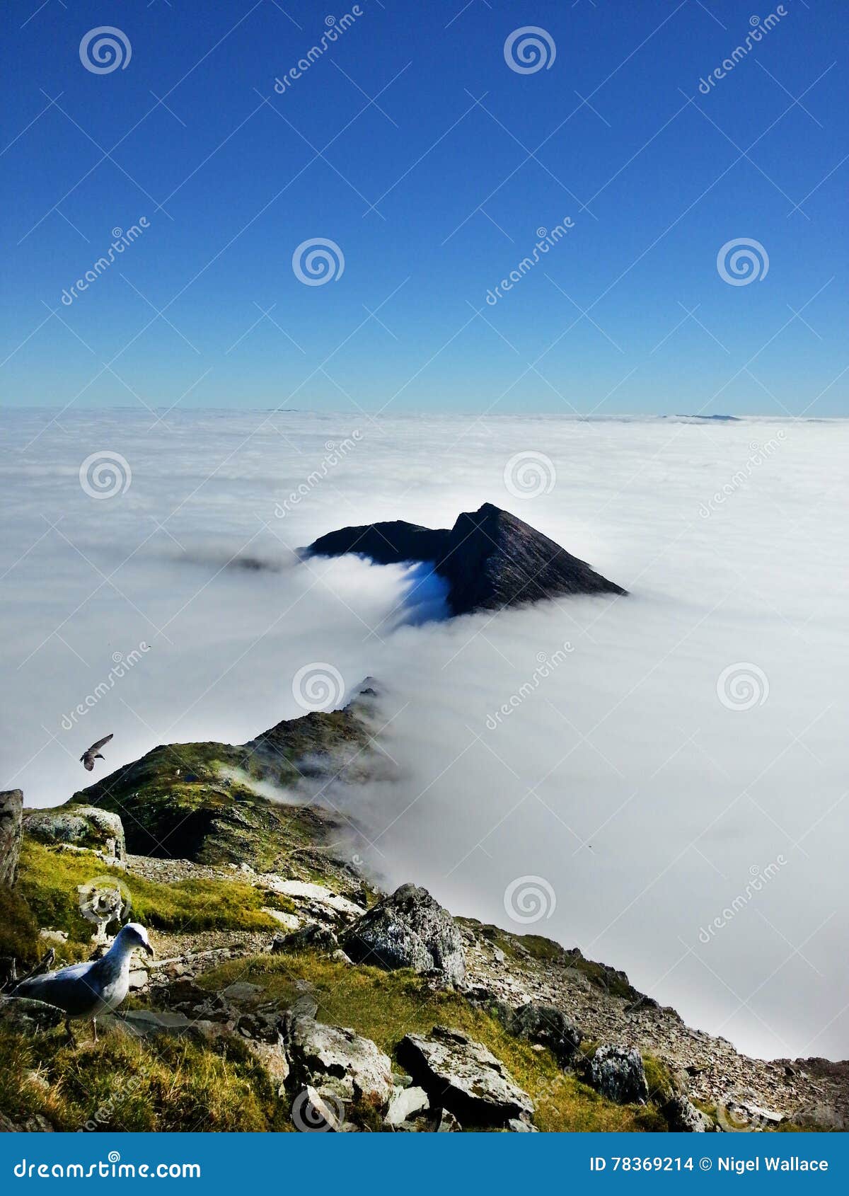 Snowdon Wales stock photo. Image of tour, tourism, rambling - 78369214