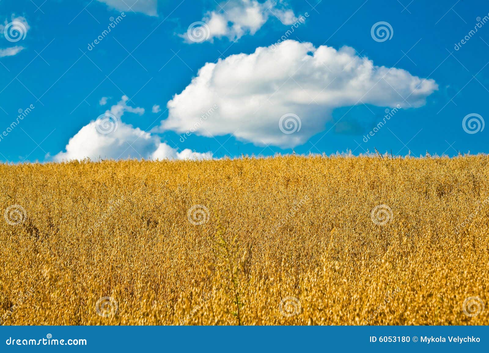 Cloud And Field Picture. Image: 6053180