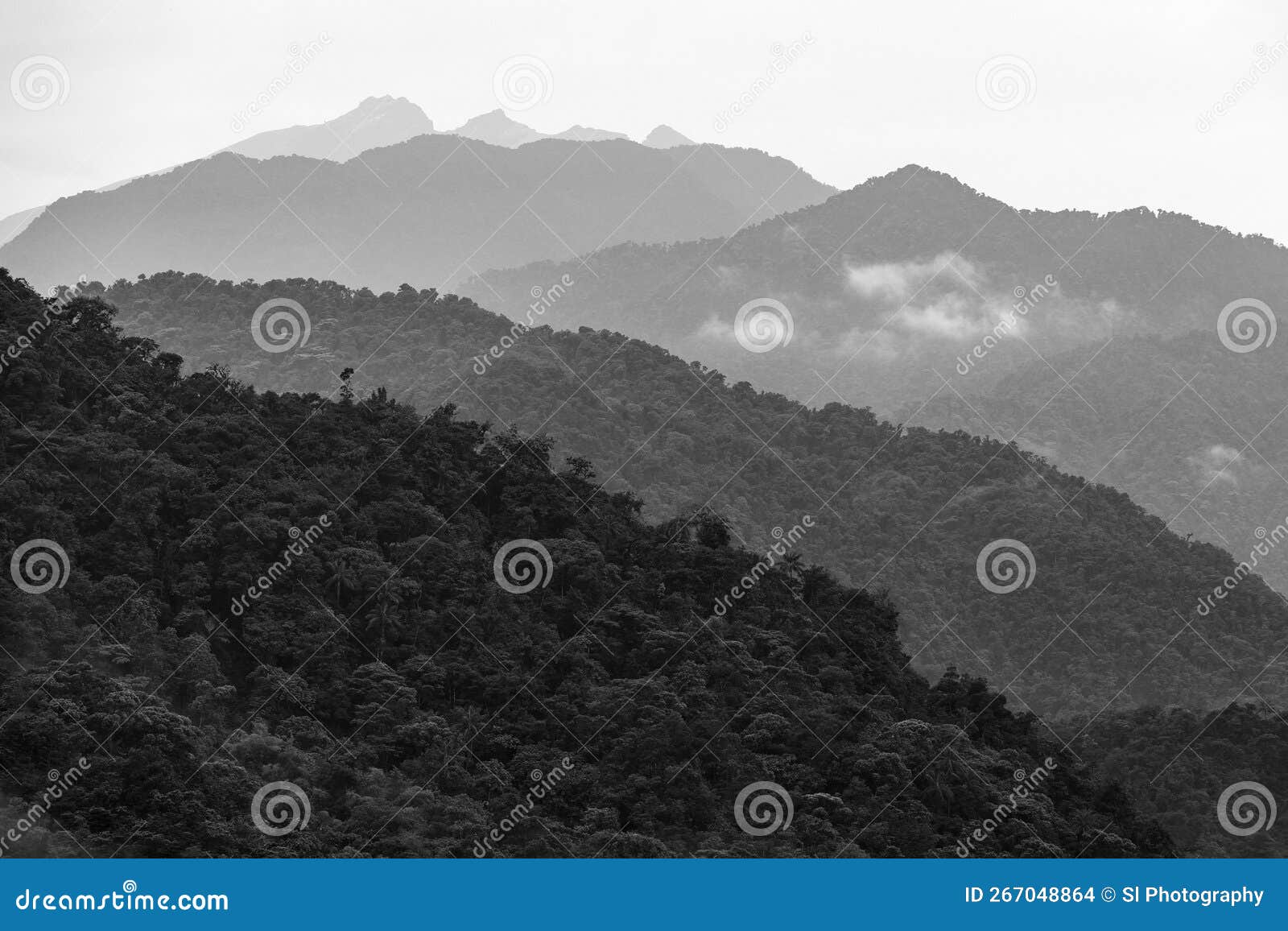 Cloud Forest and Andes Peaks Stock Photo - Image of hill, amazon: 267048864