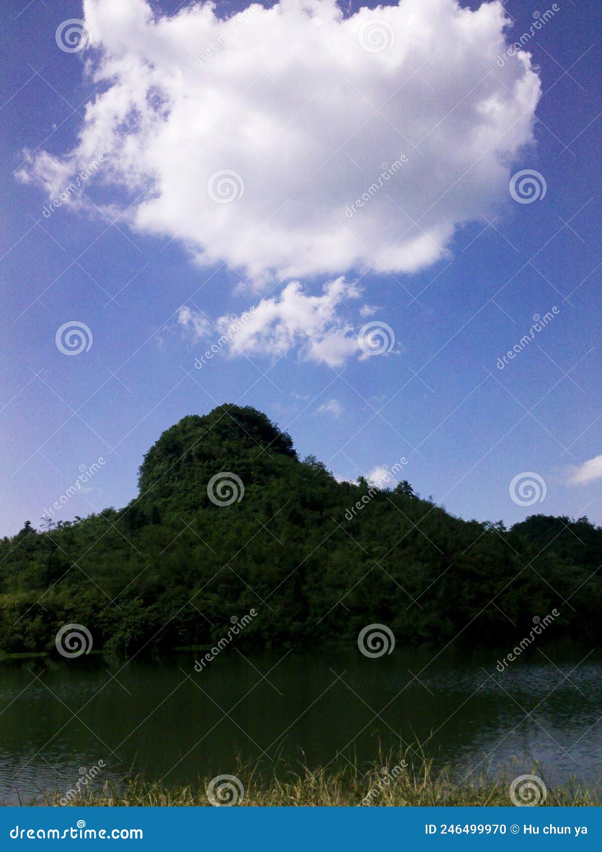Cloud Forest Water Trees Green Stock Photo - Image of reservoir ...
