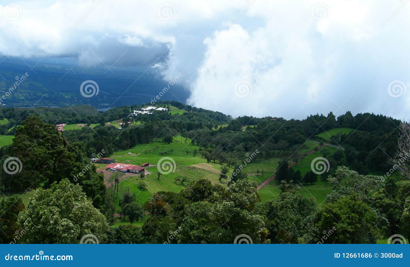 Cloud Forests in Costa Rica Stock Photo - Image of landscape, hill ...