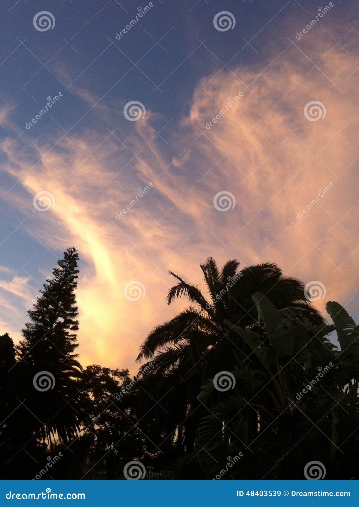 Cloud magic stock image. Image of sunlight, morning, horizon - 48403539
