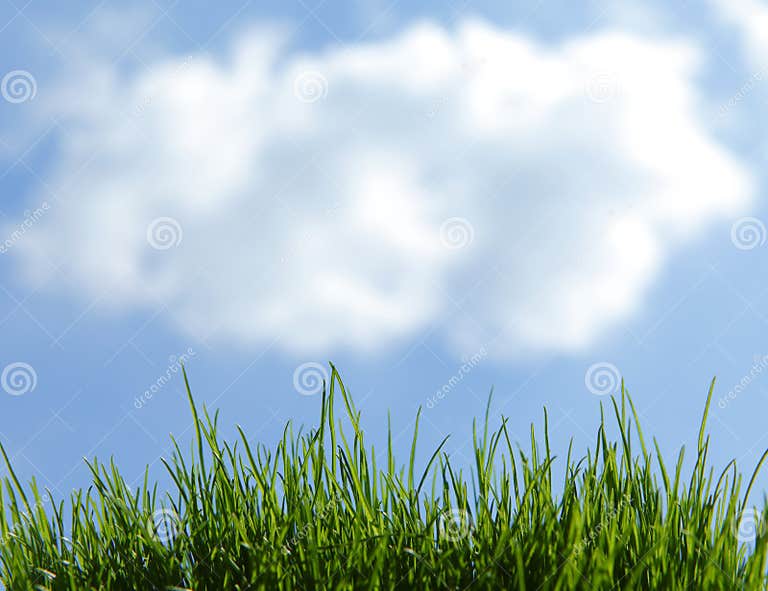 Cloud over fresh grass stock photo. Image of field, colorful - 31071136