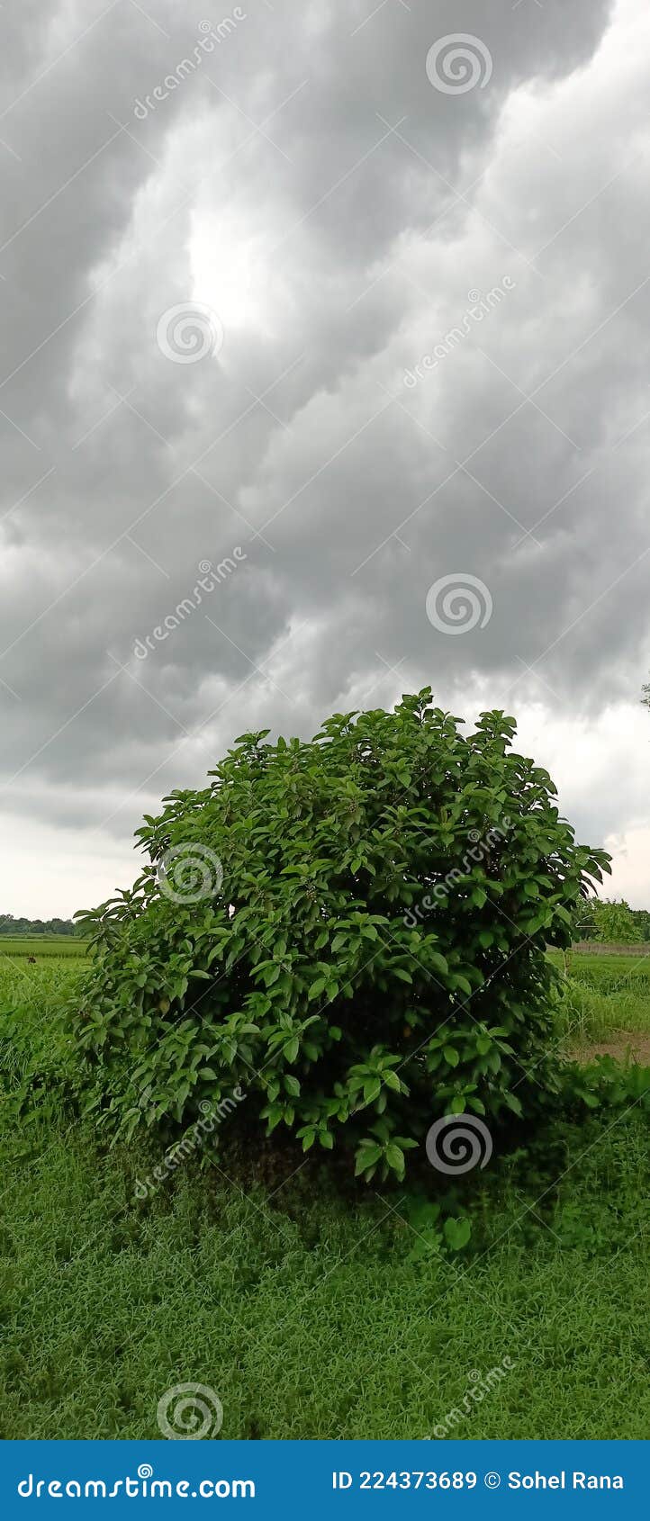 Cloud over head stock image. Image of cloud, meadow - 224373689