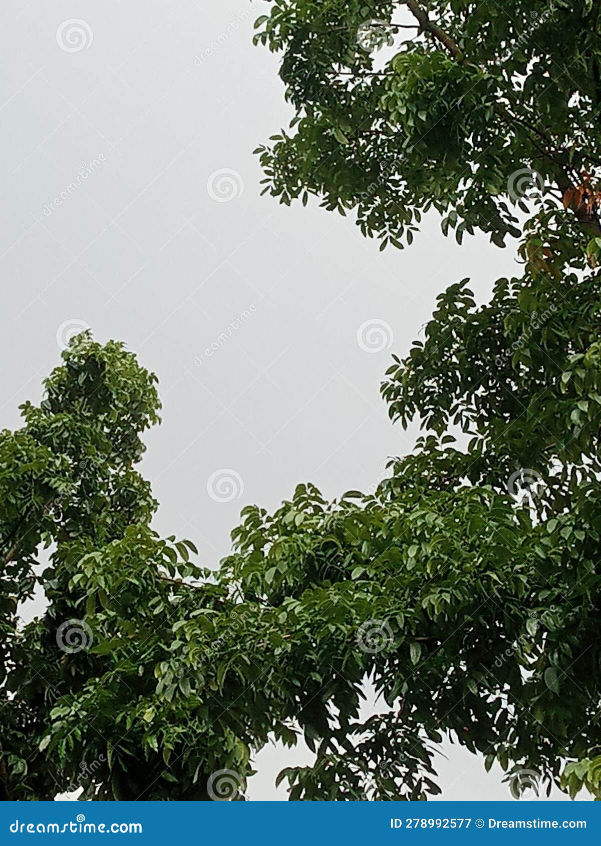 Cloud Overcast stock image. Image of cloudy, atmosphere - 278992577