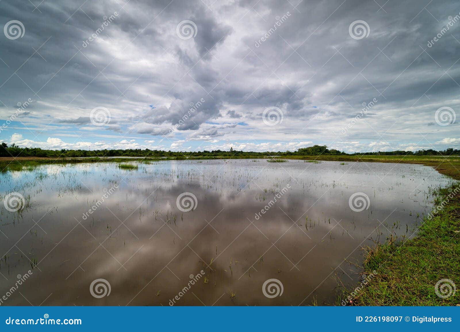 Cloud Reflection on Lake stock image. Image of cumulus - 226198097