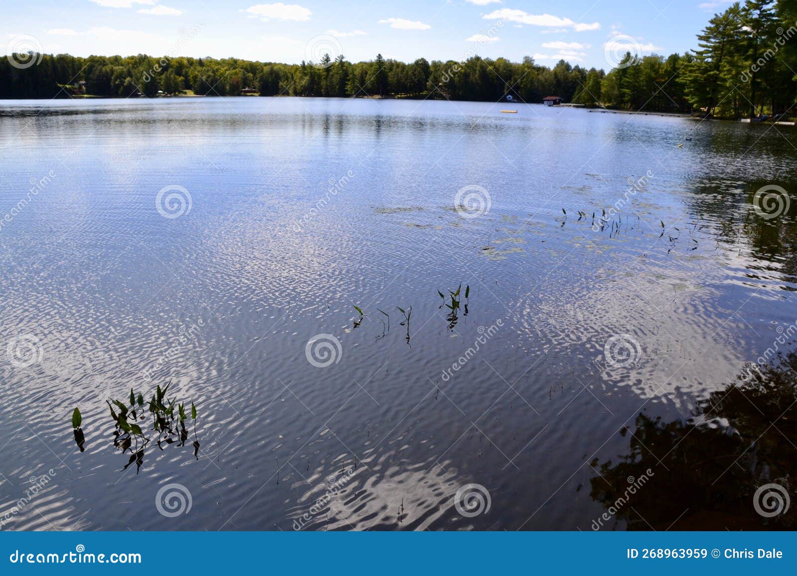 Cloud Reflections Broken by Water Ripples on Surface of Spring Lake ...