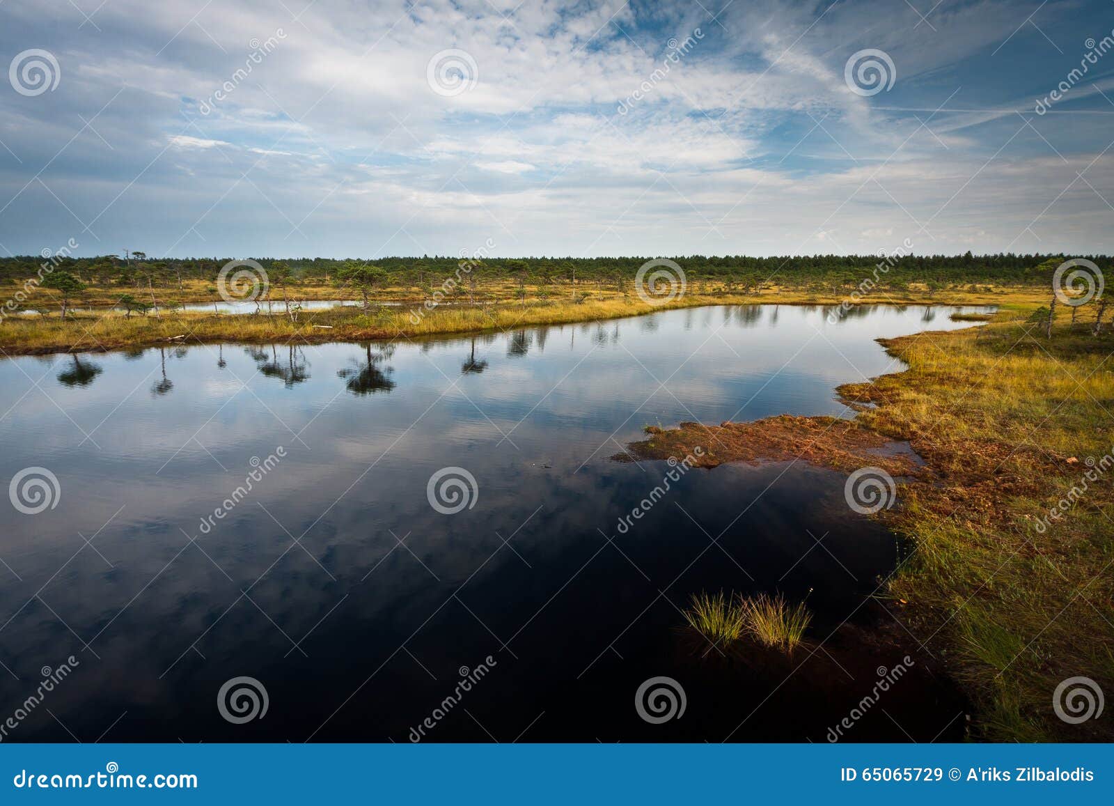 Cloud Reflections in the Swamp Lake Stock Image - Image of multi ...