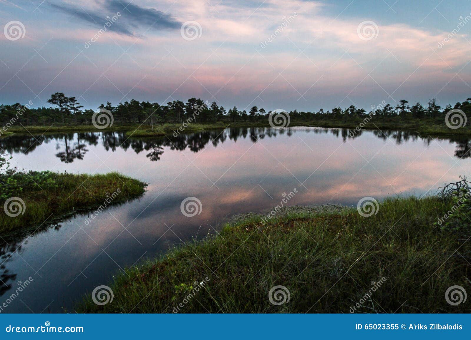 Cloud Reflections in the Swamp Lake Stock Image - Image of forest, lake ...