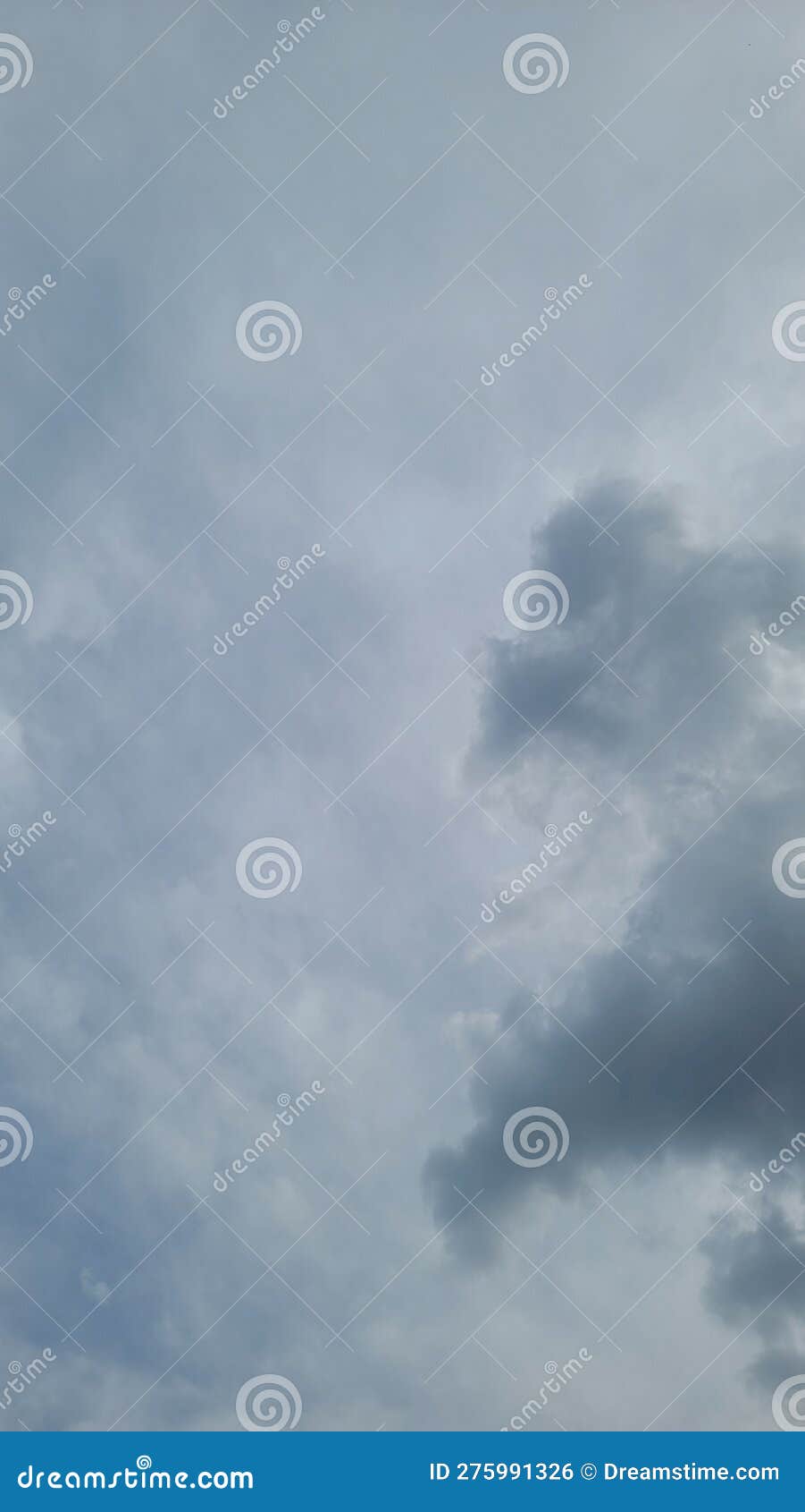 A cloud resembling a bull stock photo. Image of cloud - 275991326