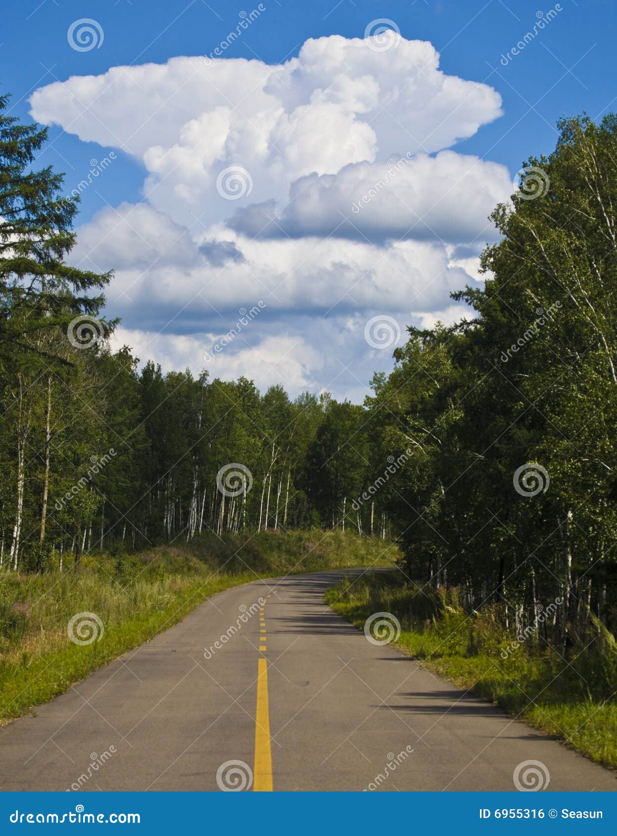 Cloud, road and trees stock photo. Image of trees, white - 6955316