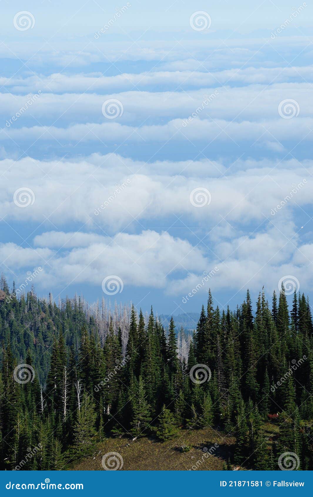 Cloud Sea Over Mountain Top Stock Image - Image of summit, park: 21871581