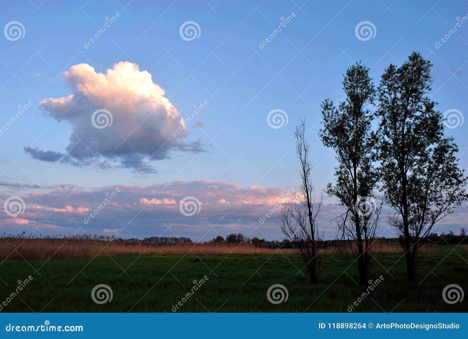 Cloud in the Shape of a Fish at Sunset Over the Meadow with Poplars ...