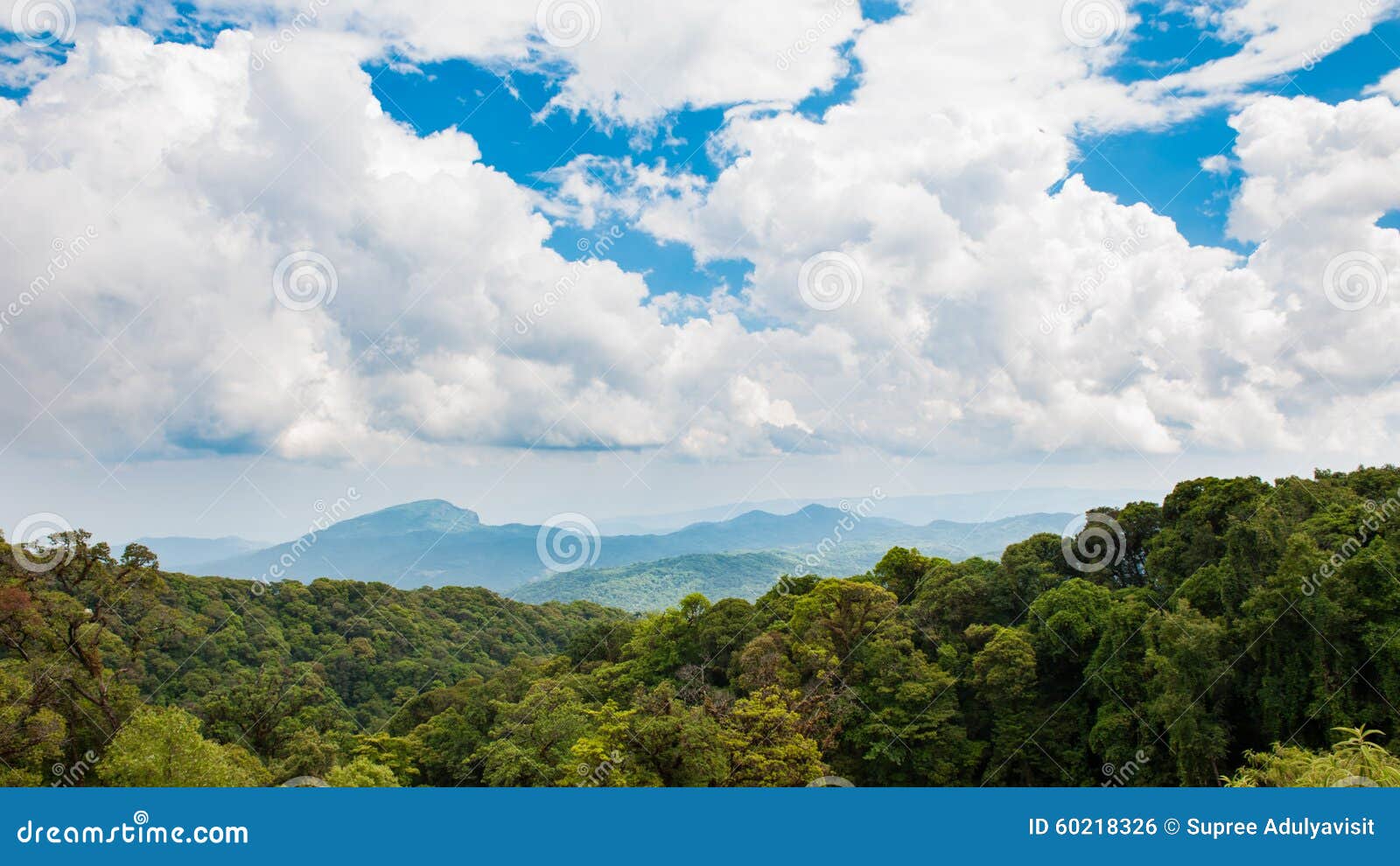 Cloud sky over the forest stock photo. Image of plant - 60218326