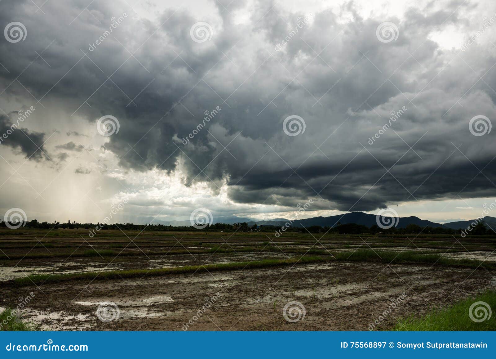 Cloud Storm Raining Landscape View Stock Image - Image of cloud, field ...