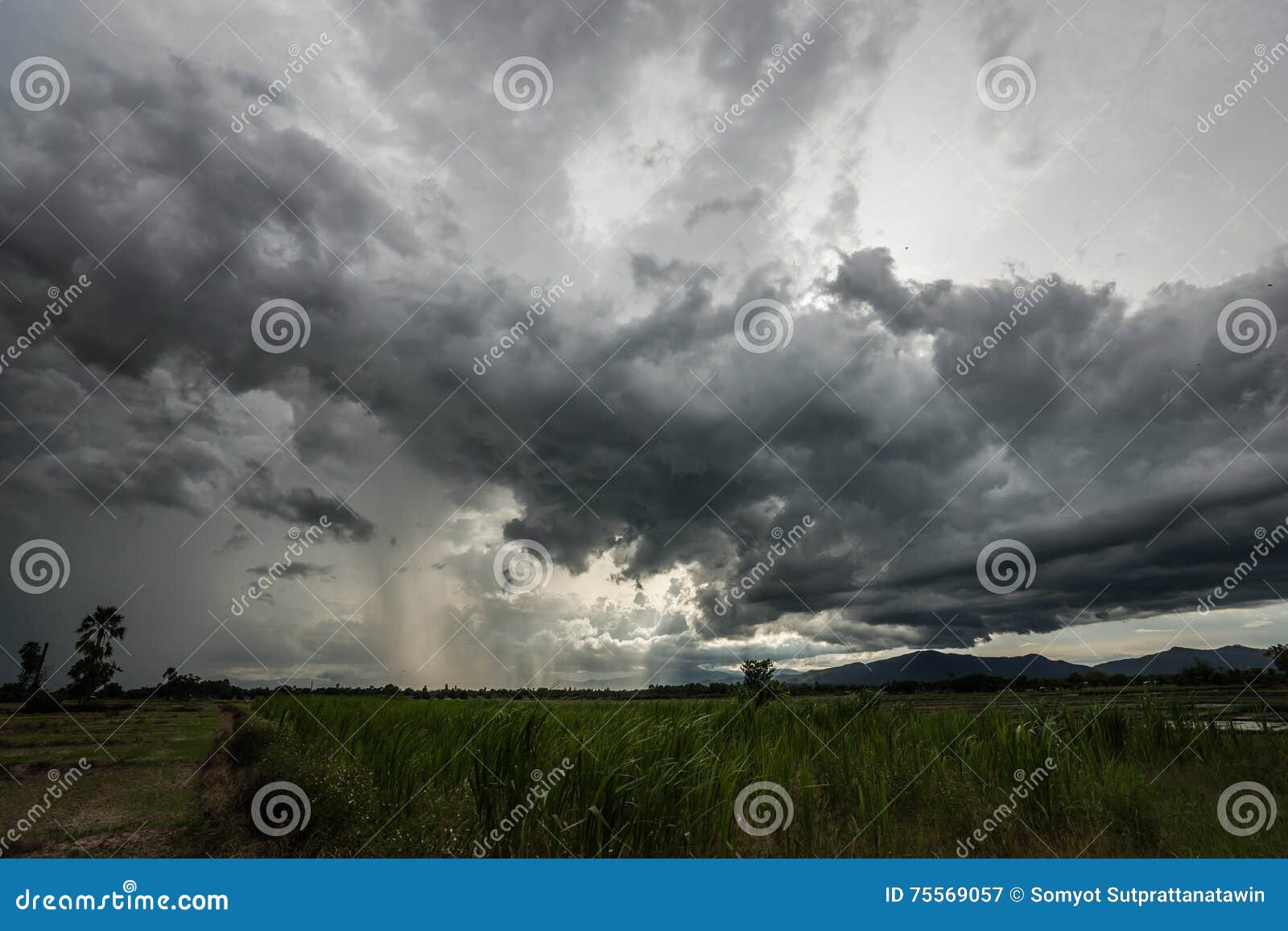 Cloud Storm Raining Landscape View Stock Image - Image of tree, energy ...