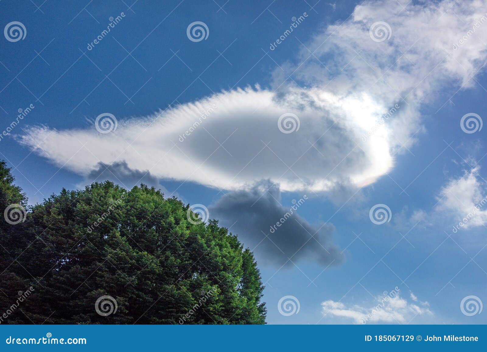 Cloud in the Sunny Sky Taking Fish Shape Stock Image - Image of green ...