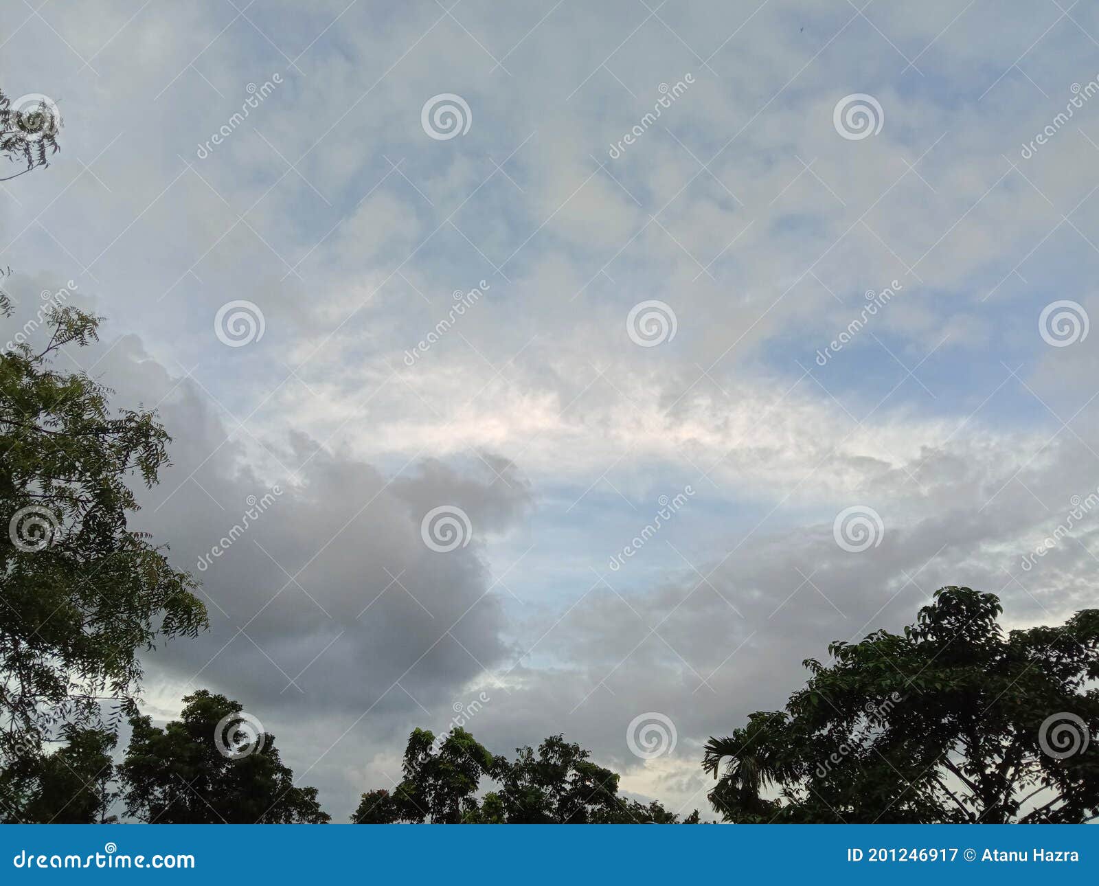 Cloud on tree stock image. Image of sunlight, hill, cumulus - 201246917