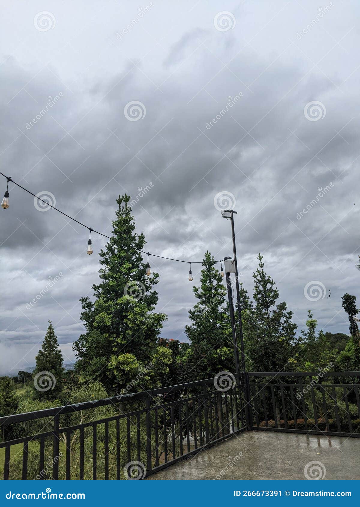 Cloud Trees Bridge Light Wind Stock Image - Image of cloud, bridge ...